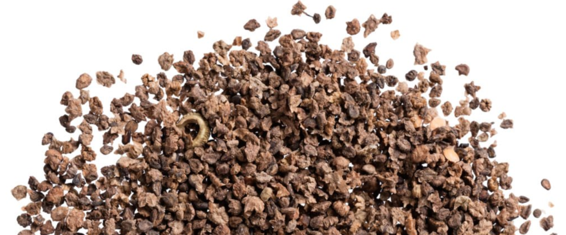 Seed Terminator Target Weed Species