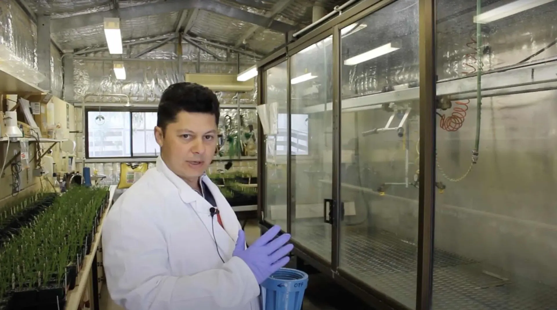 Herbicide Resistance: Update from Plant Science Consulting | Seed ...